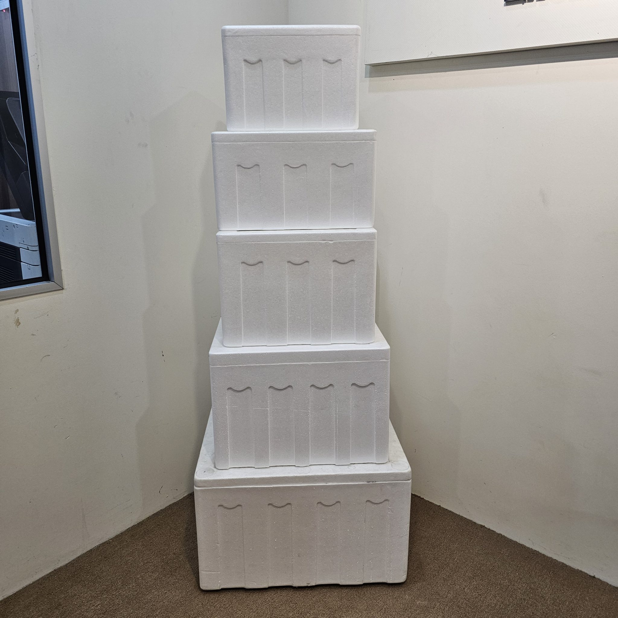 EPS Foam Boxes - E&E Foam Manufacturing